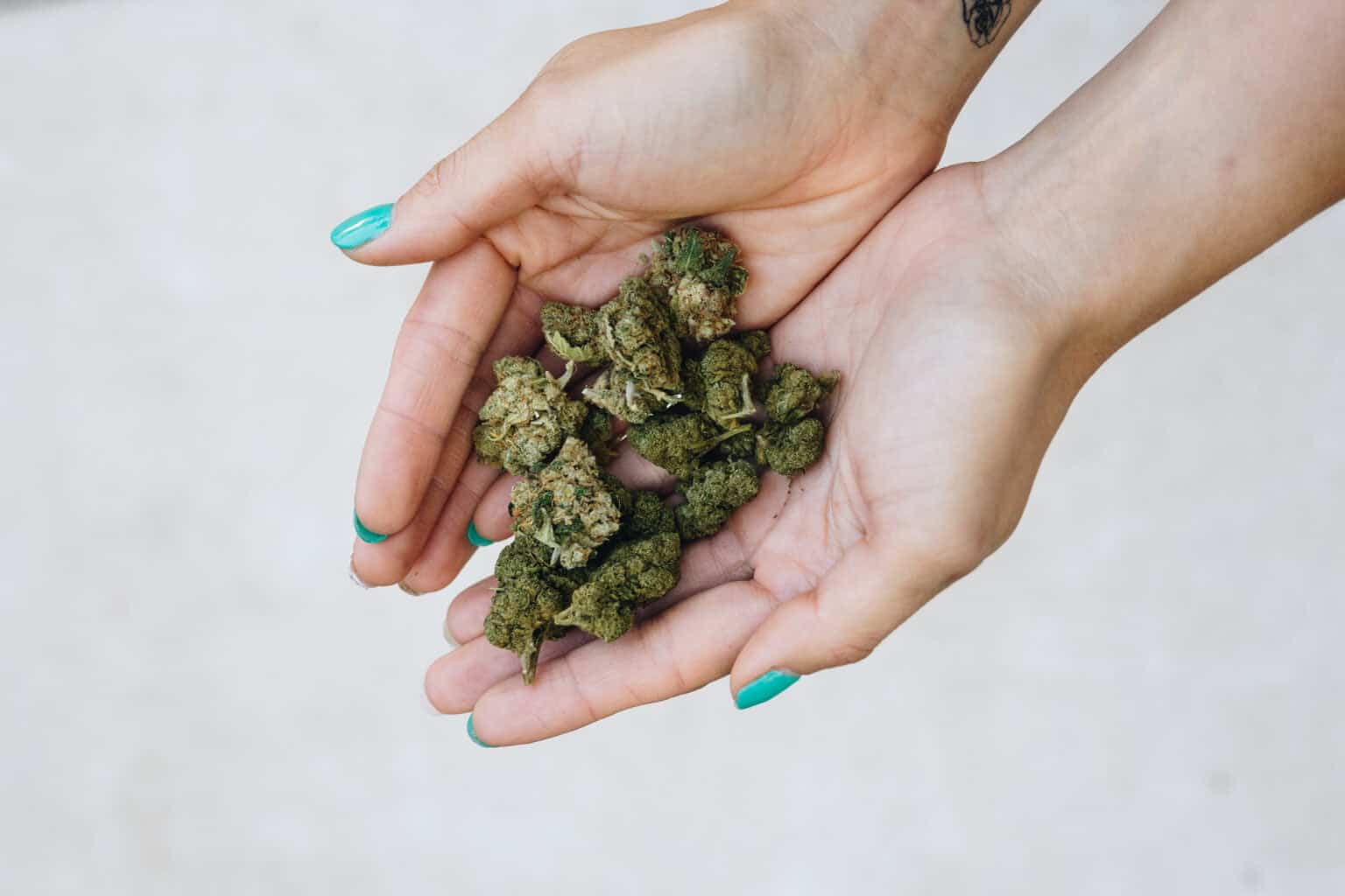 What is Kush Cannabis? Types and Effects